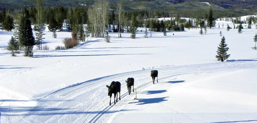 Winter in Grand Lake Colorado | Snowmobiling, Ice Fishing | Hotel
